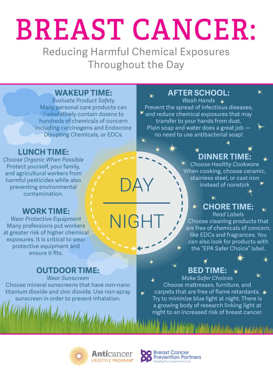 Breast Cancer: How to Reduce Harmful Chemicals Throughout the Day ...