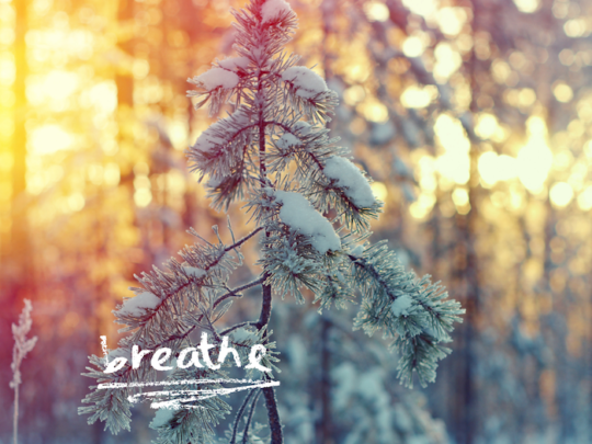 INFOGRAPHIC: Beat Holiday Stress with This Breathing Technique ...